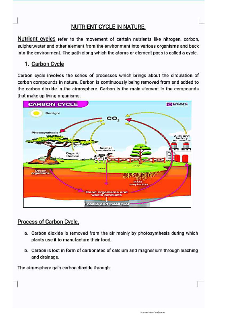 Nutrients Cycles - ss2 (1st Term 8) | PDF