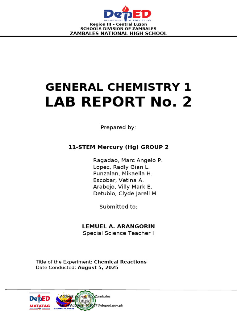 Gen Chem Lab Report 2 | PDF | Magnesium | Chemical Reactions