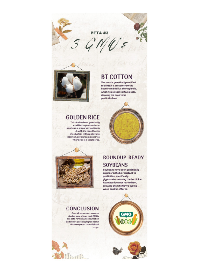 Screenshot 2024-10-18 at 9.06.03 PM | PDF