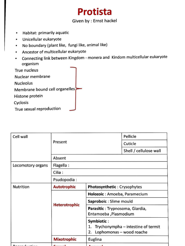 Biological Classification | PDF