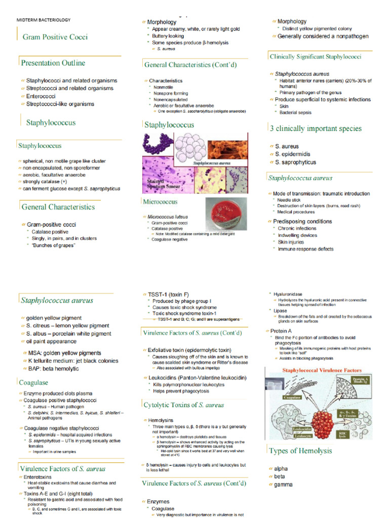 Midterm Bacteriology Lec 1 | PDF