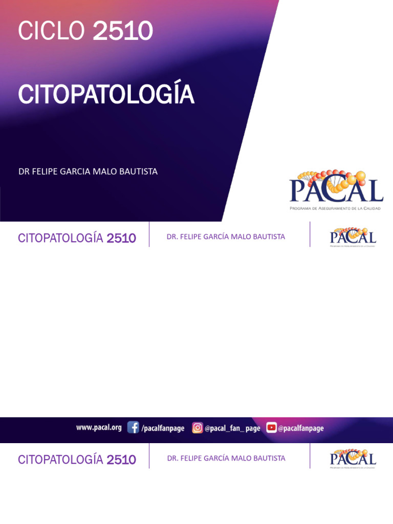 Caso Cito 2510 | PDF