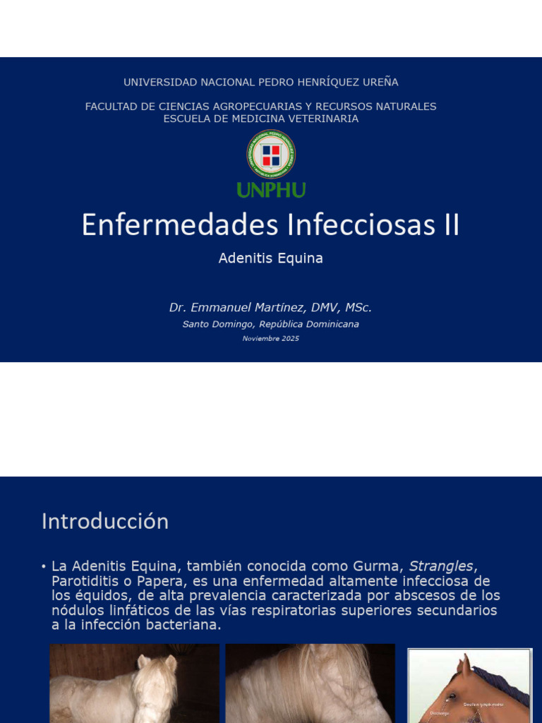 Adenitis Equina: Diagnóstico y Tratamiento | PDF | Infección | Penicilina