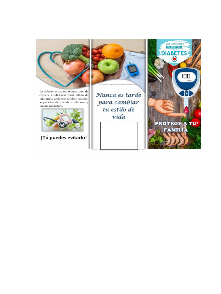 Copia de Docsity Triptico Diabetes Prevencion | PDF