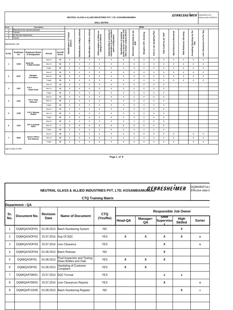 Skill Matrix | PDF