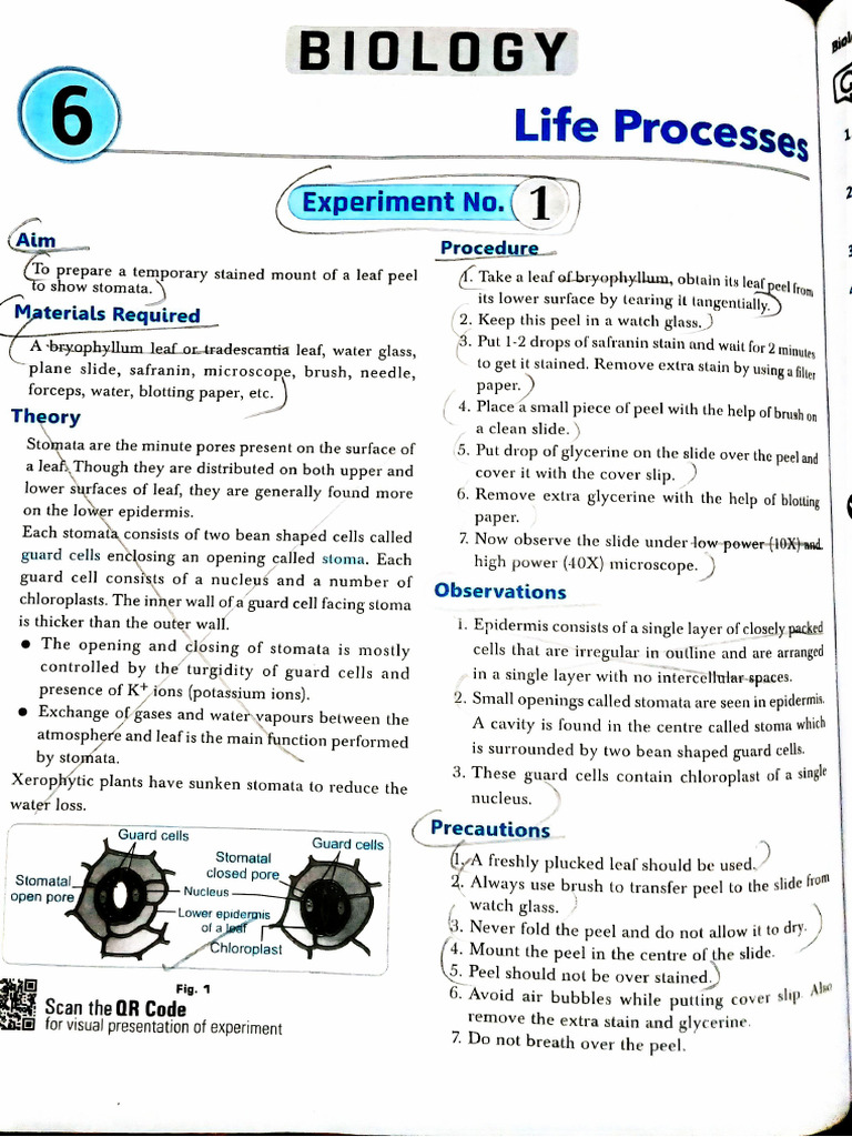 Lab Manual Science | PDF