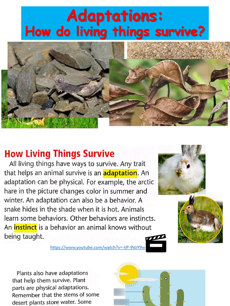 Adaptations-How Do Living Things Survive | PDF