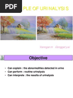 Urine Microscopic Exam Reference Chart | PDF