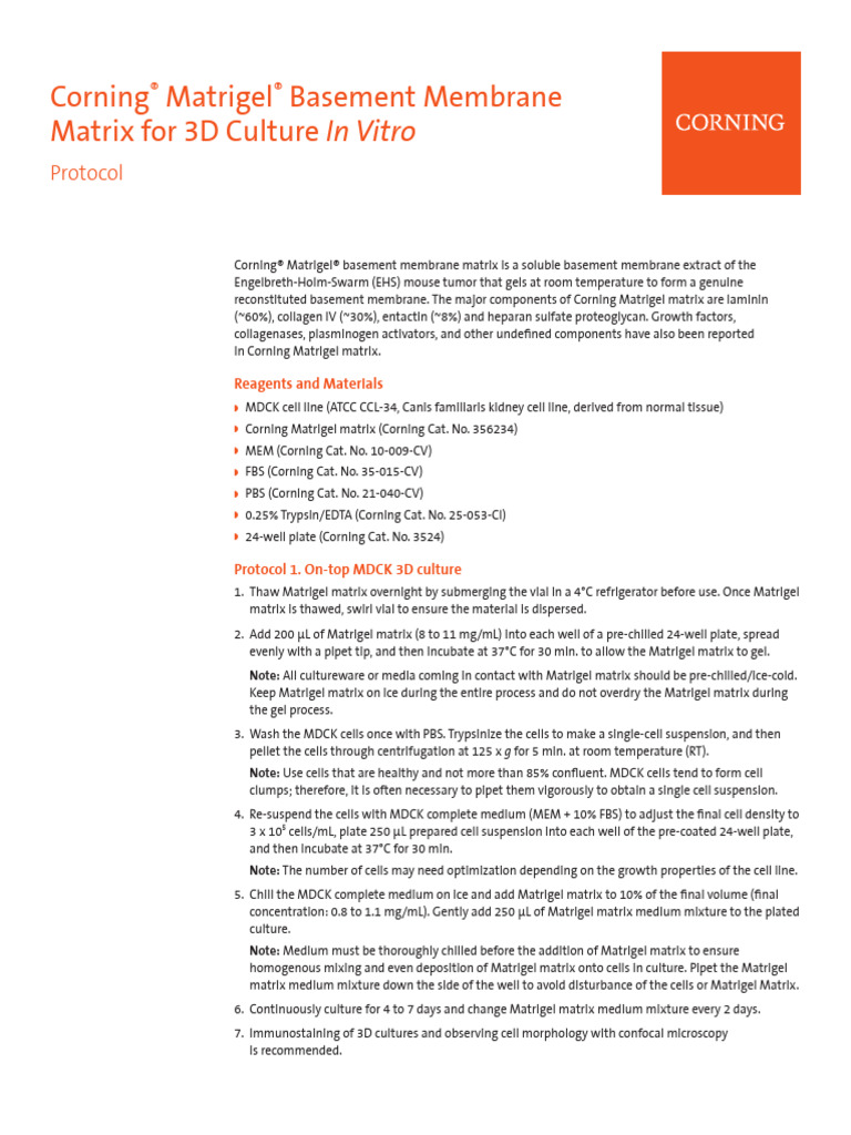 Corning Matrigel 3D Culture Protocols | PDF | Cell Culture ...