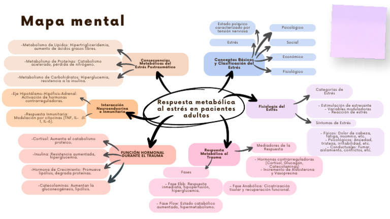 Pastel Marketing Strategy Mind Map Brainstorm - 20240910 - 210716 ...