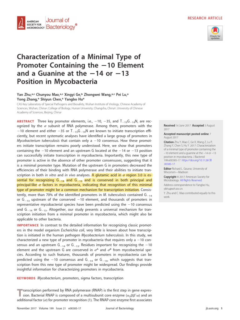 Minimal Type of Mycobacterial Promoter | PDF | Promoter (Genetics ...