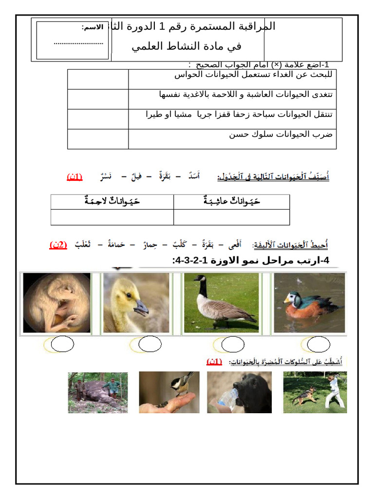 nachat | PDF