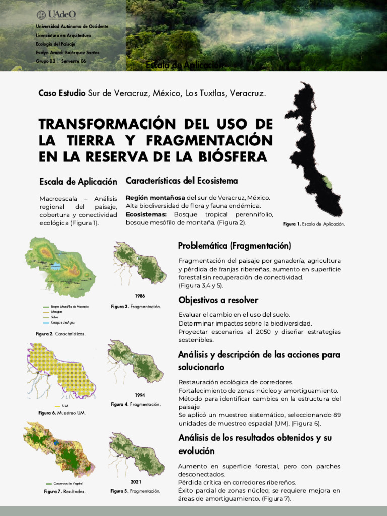 Caso Estudio - Transformación del Uso de la Tierra y Fragmentación en la Reserva de la Biósfera ...