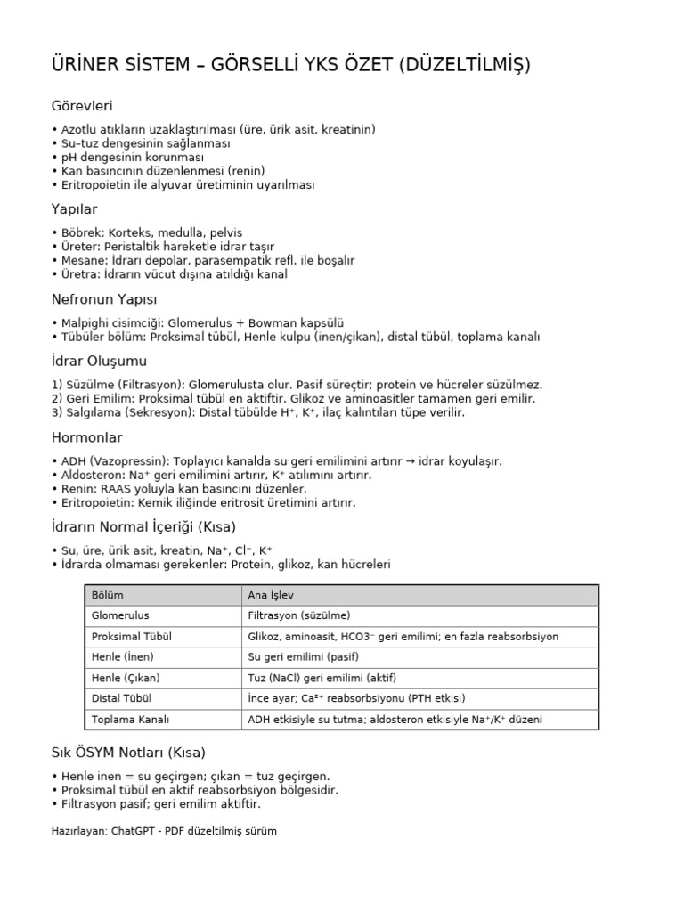 Uriner Sistem Gorselli Fixed | PDF