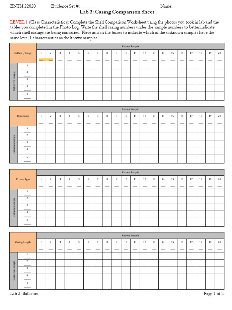 Casing Comparison Lab Worksheet | PDF | Ballistics | Firearms