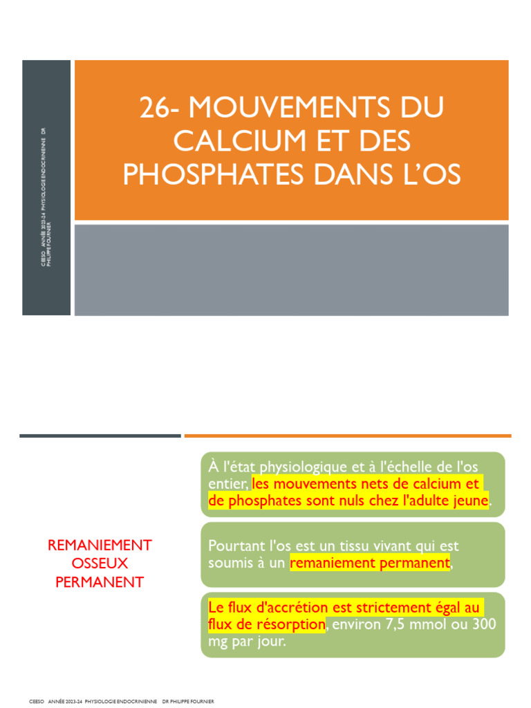 Mouvements du calcium et phosphates osseux | PDF | Ostéoporose | Os