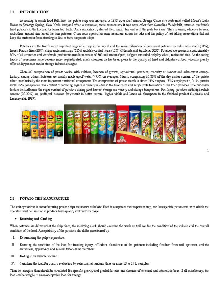Potato Chips Report | PDF | Business