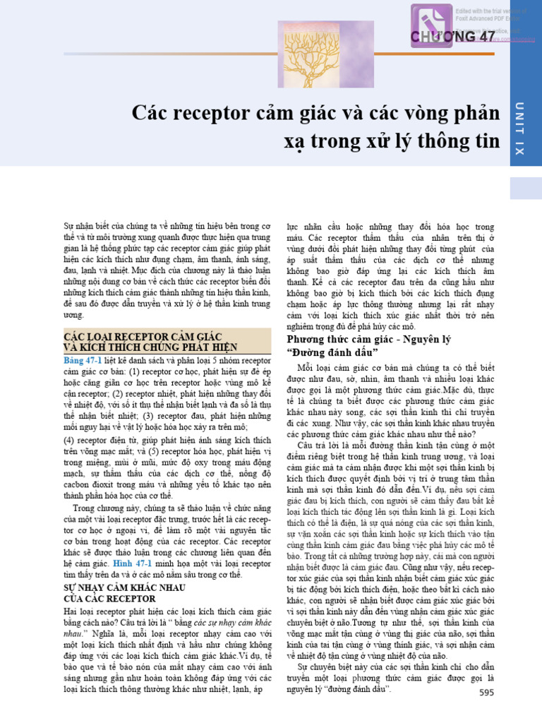 Guyton Tieng Viet (1)-561-597 | PDF