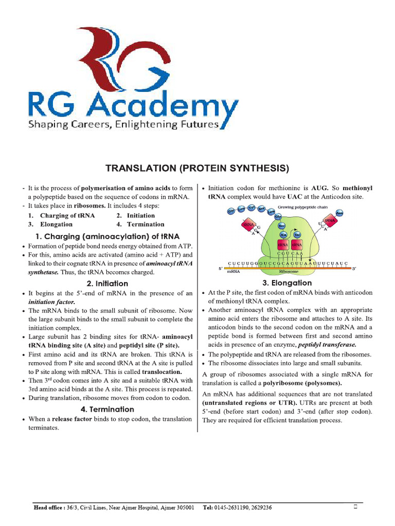Translation, HGP, DNA Fingerprinting | PDF