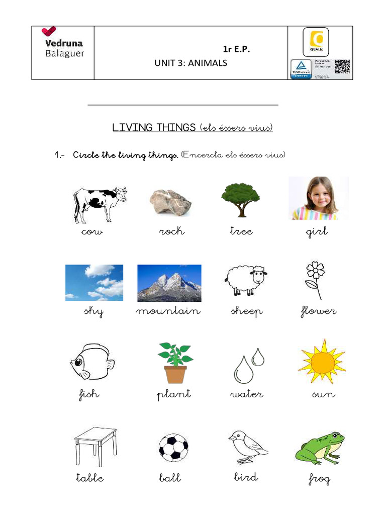 DEURES 20.01 SCIENCE Unit 3 Animals Living Things | PDF