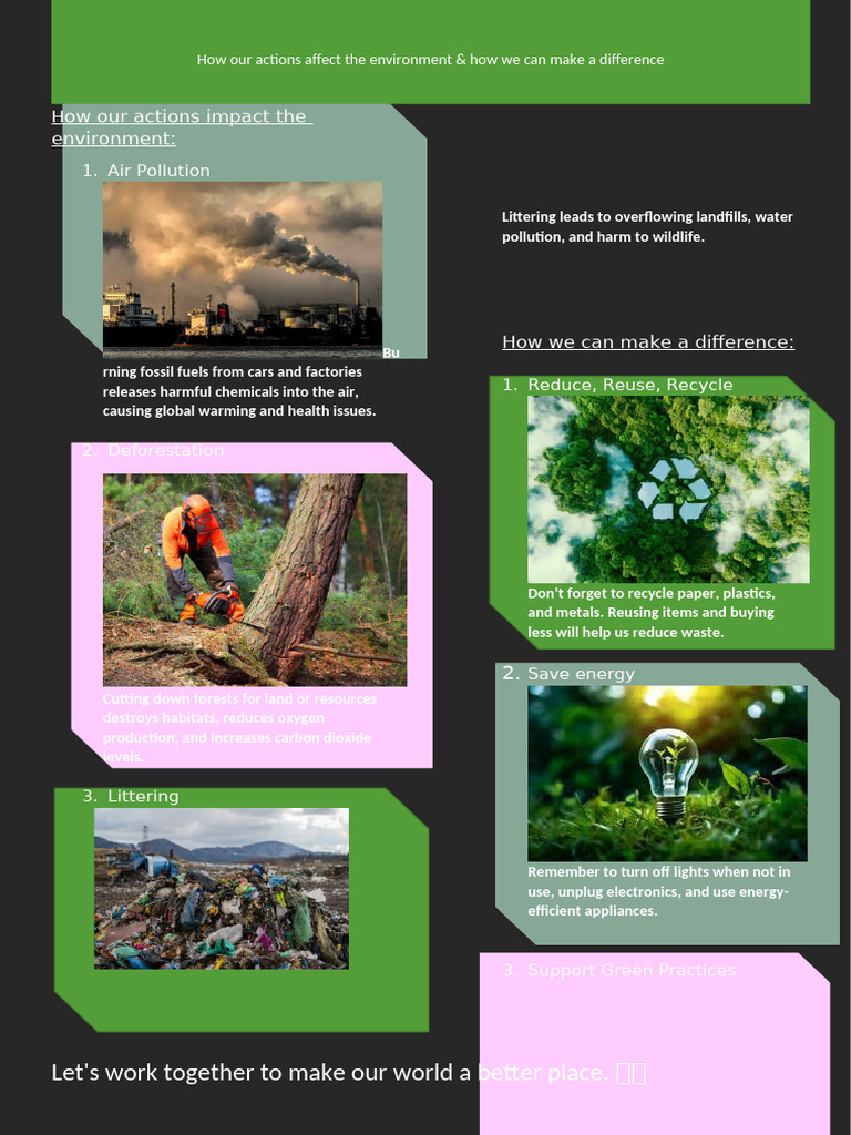 How Our Actions Impact The Environment | PDF