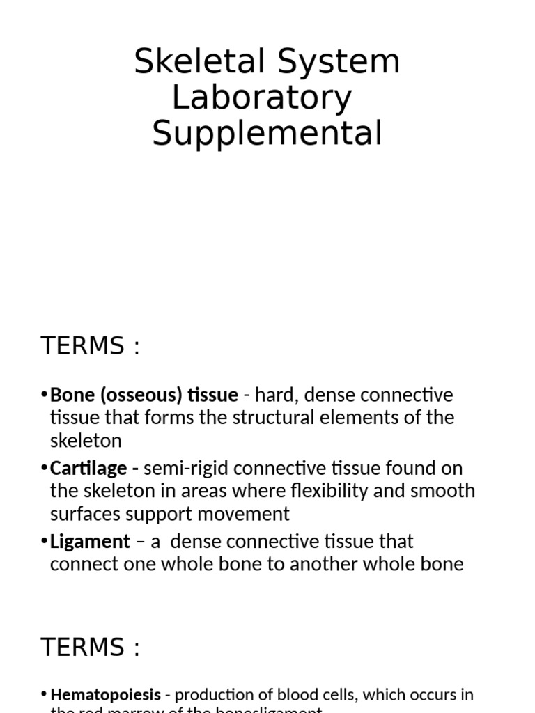 Skeletal System Lab Terms and Concepts | PDF