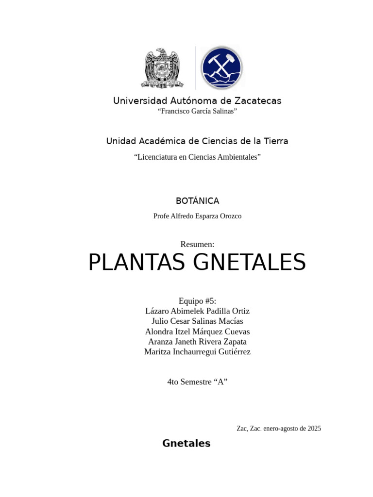 Resumen plantas Gnetales | PDF | Reproducción de plantas | Reproducción