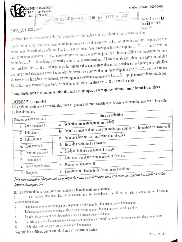 Document 6 1 | PDF