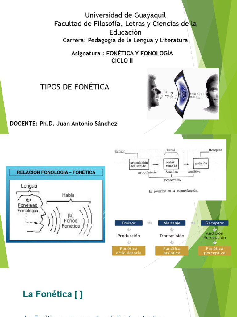 Tipos de Fonética: Articulatoria y Acústica | PDF | Fonética | Sonido