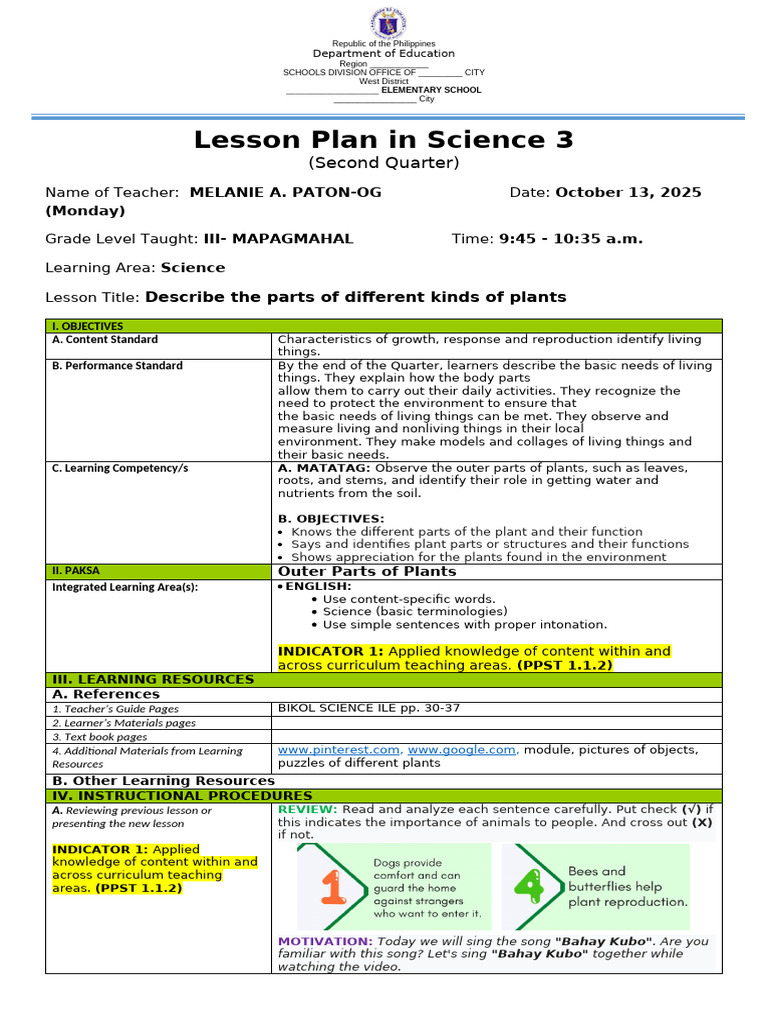 Q2 SCIENCE DLP - Outer Parts of Plants | PDF | Learning | Cognitive Science