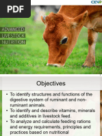 Monogastric vs Polygastric Digestive Systems | PDF | Digestion | Ruminant