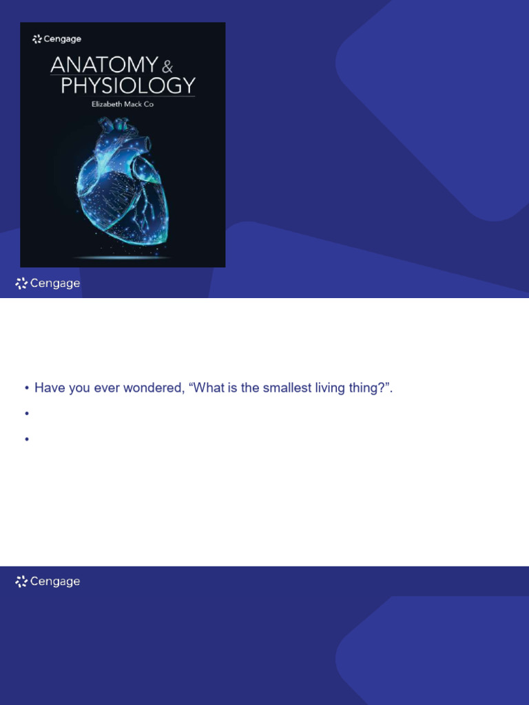 Co AP 1e PPT CH04 Revise p2 | PDF | Ribosome | Messenger Rna