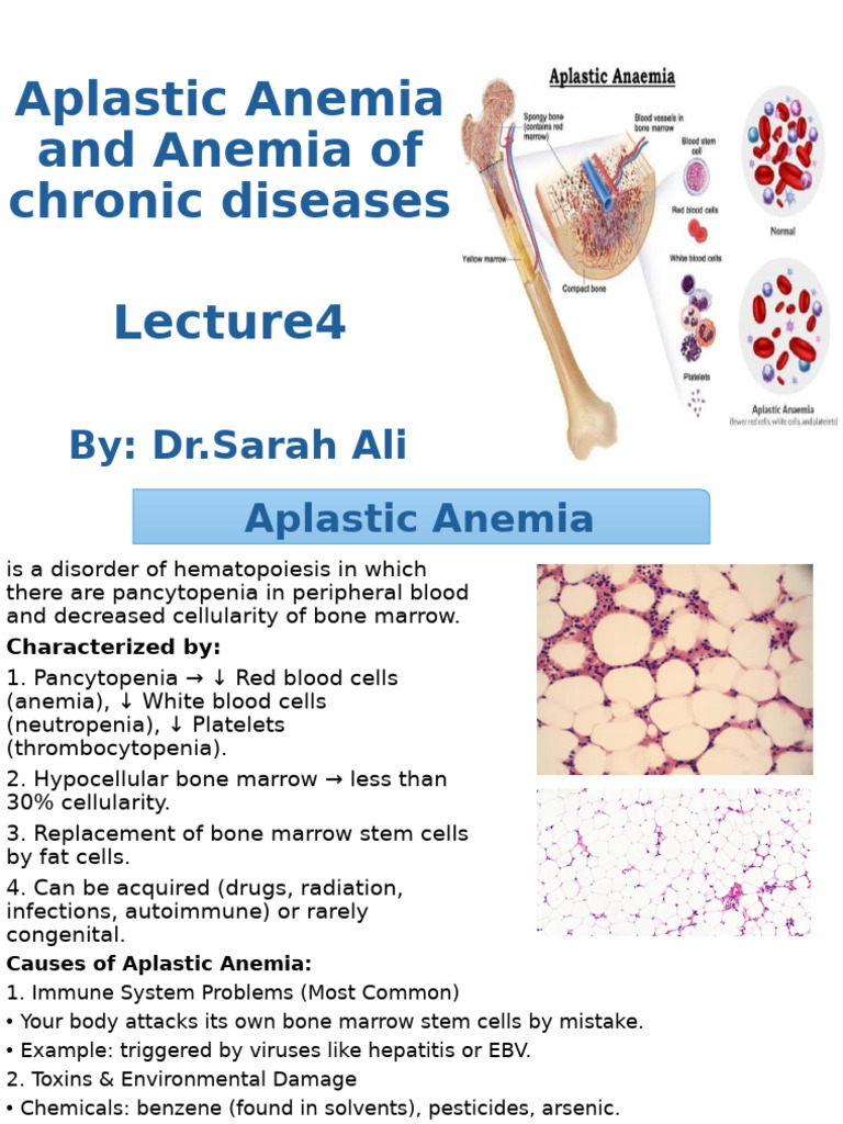 Aplastic and Chronic Diseases Anemia 4 | PDF | Anemia | Red Blood Cell