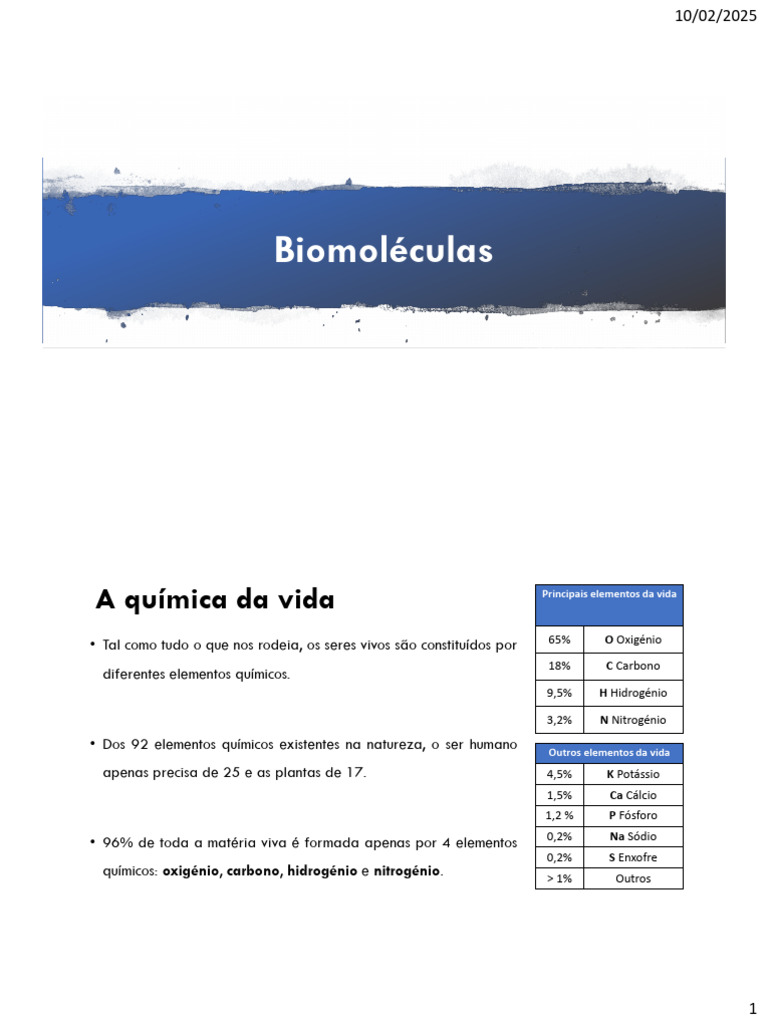 PPT3-Biomoléculas | PDF | Enzima | Proteínas