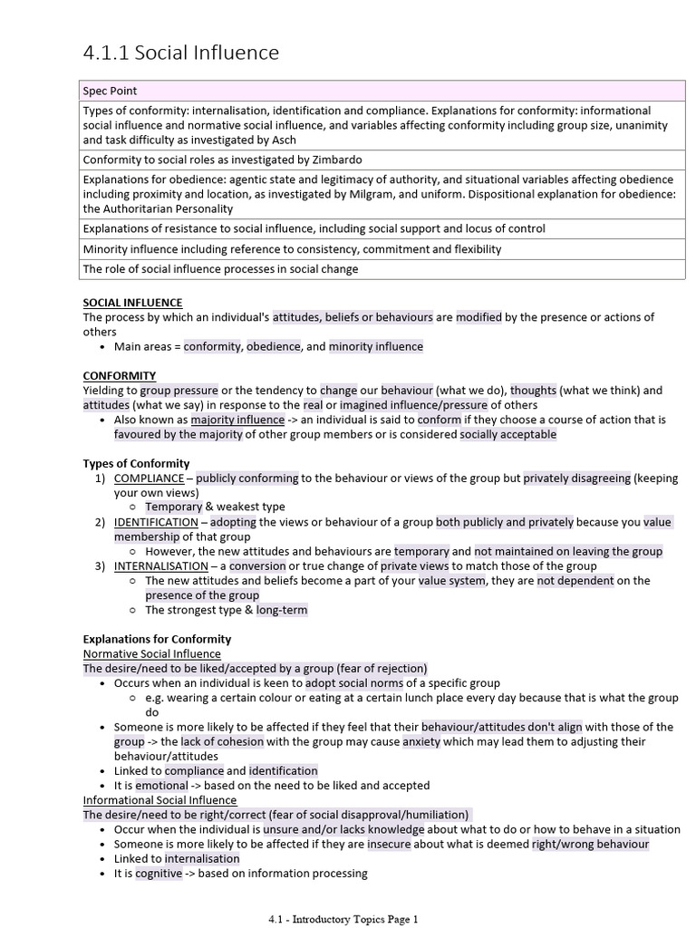 Social Influence | PDF | Conformity | Psychology