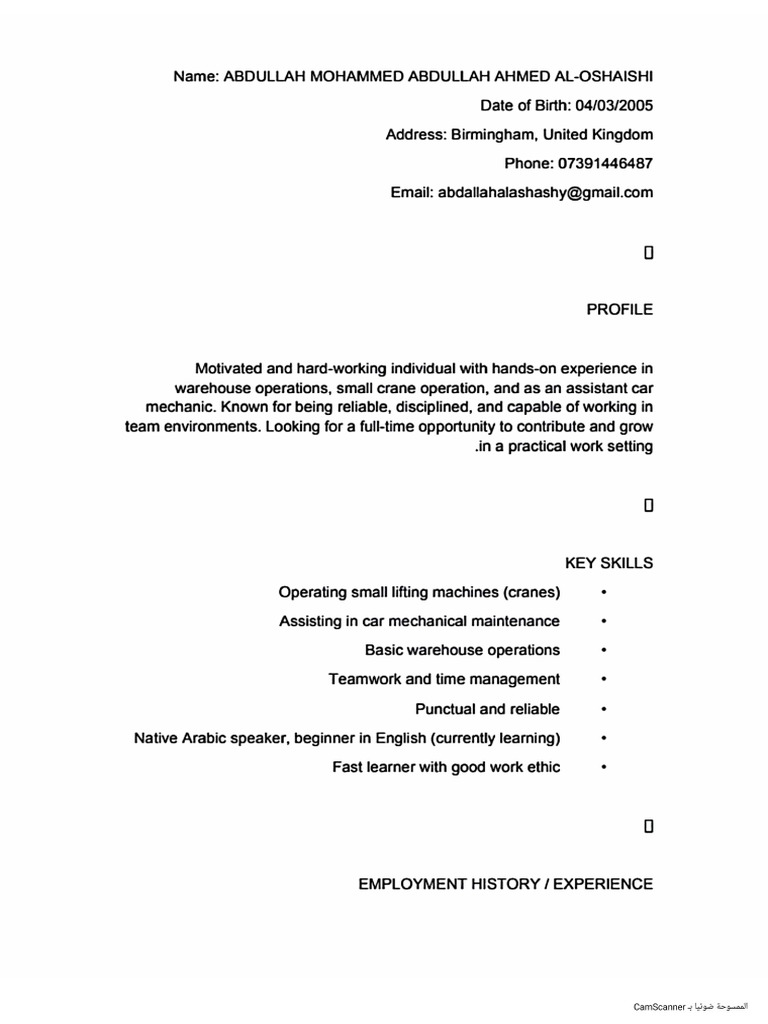 Abdullah CV 3 | PDF