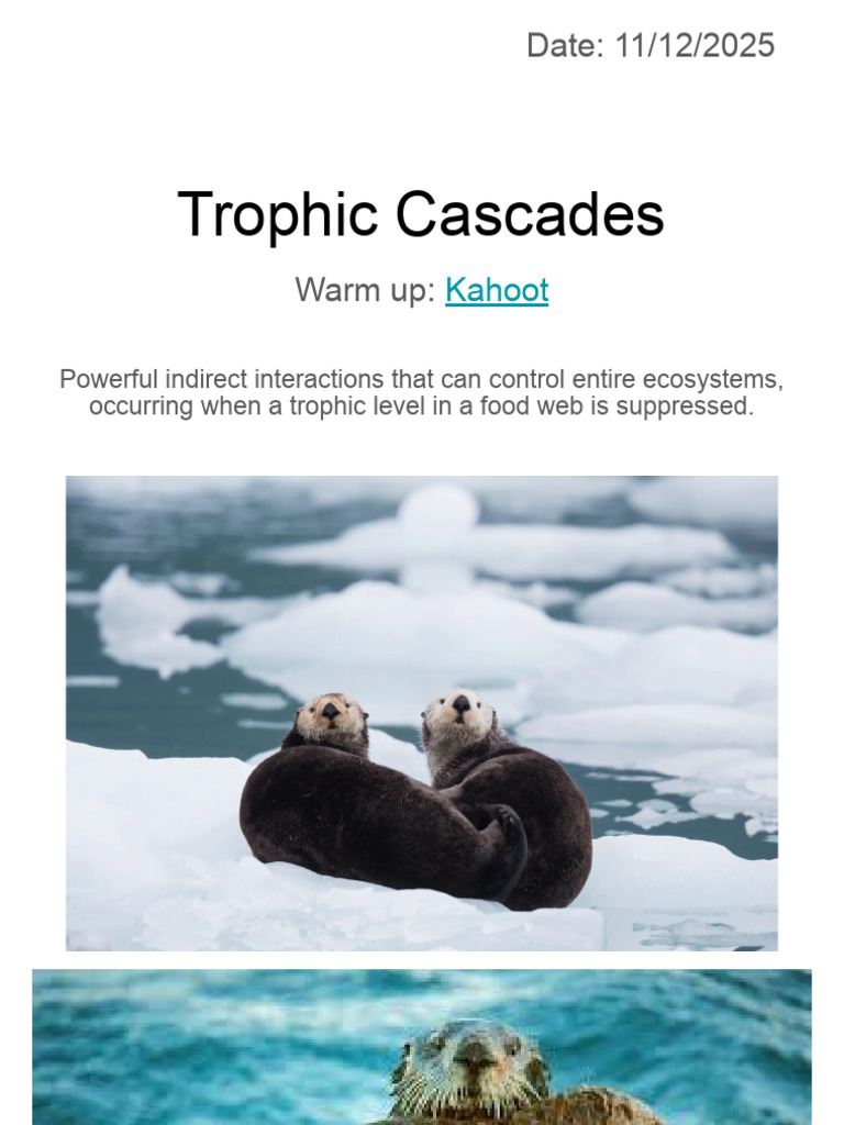 Communities and Ecosystems Lesson 3 - Trophic Cascades | PDF
