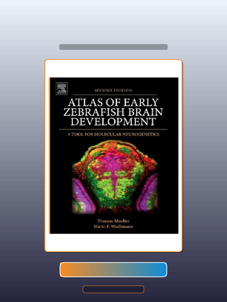 Answers For Atlas of Early Zebrafish Brain Development A Tool For ...