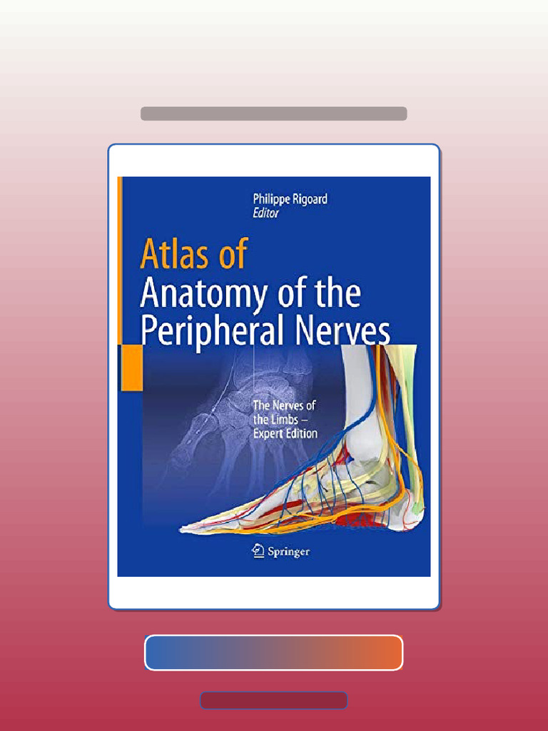 Answers for Atlas of Anatomy of the Peripheral Nerves the Nerves of the ...