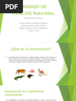 Ejemplos de Movimiento Ameboide | PDF | Músculo esquelético | Biología ...