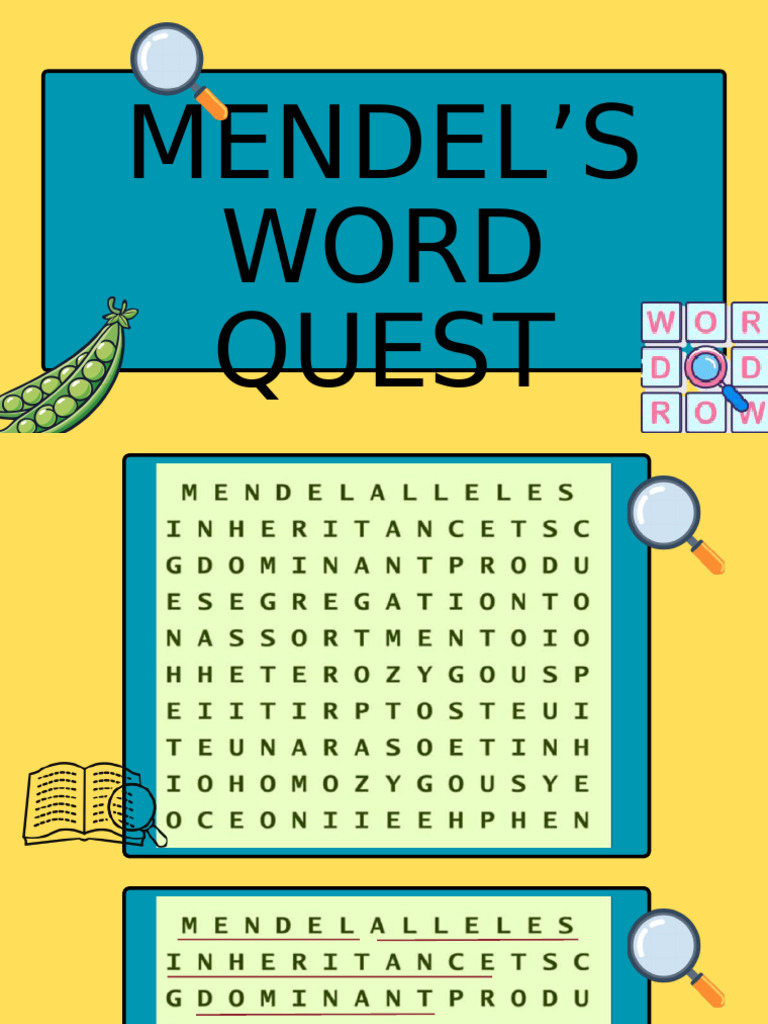Mendels Law of Inheritance 1 | PDF | Dominance (Genetics) | Genotype