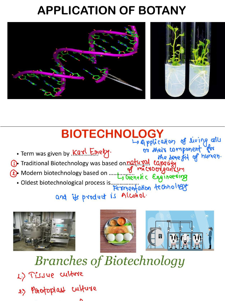Application of Botany PDF | PDF