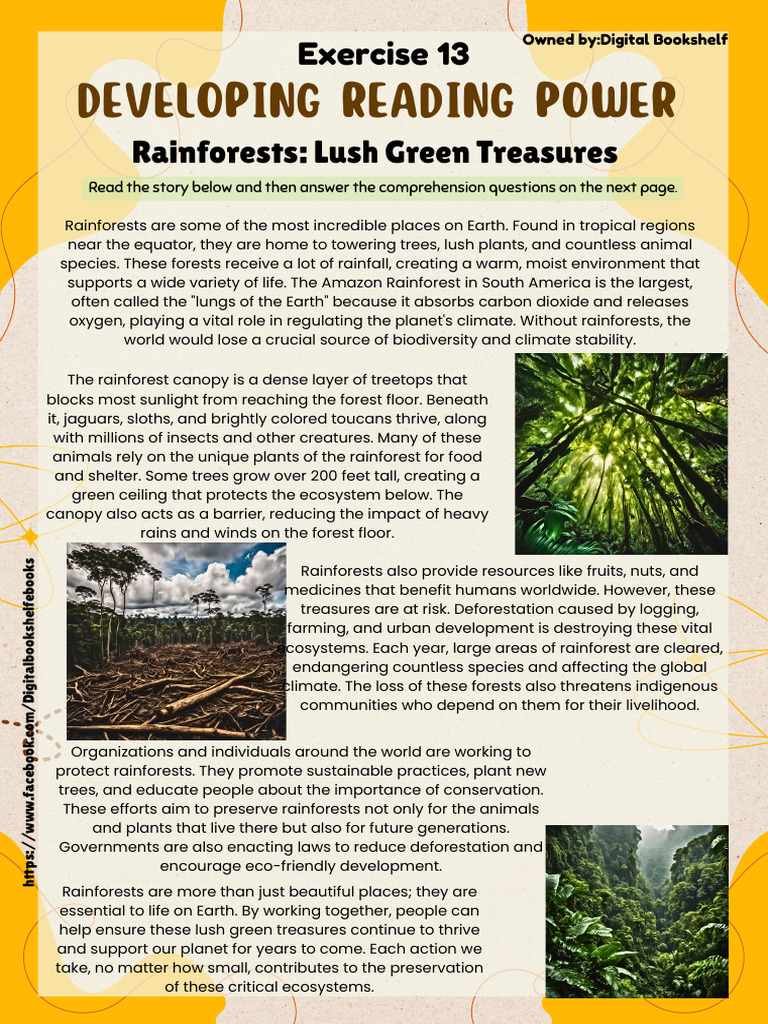 Exercise 13 | PDF | Rainforest | Forests