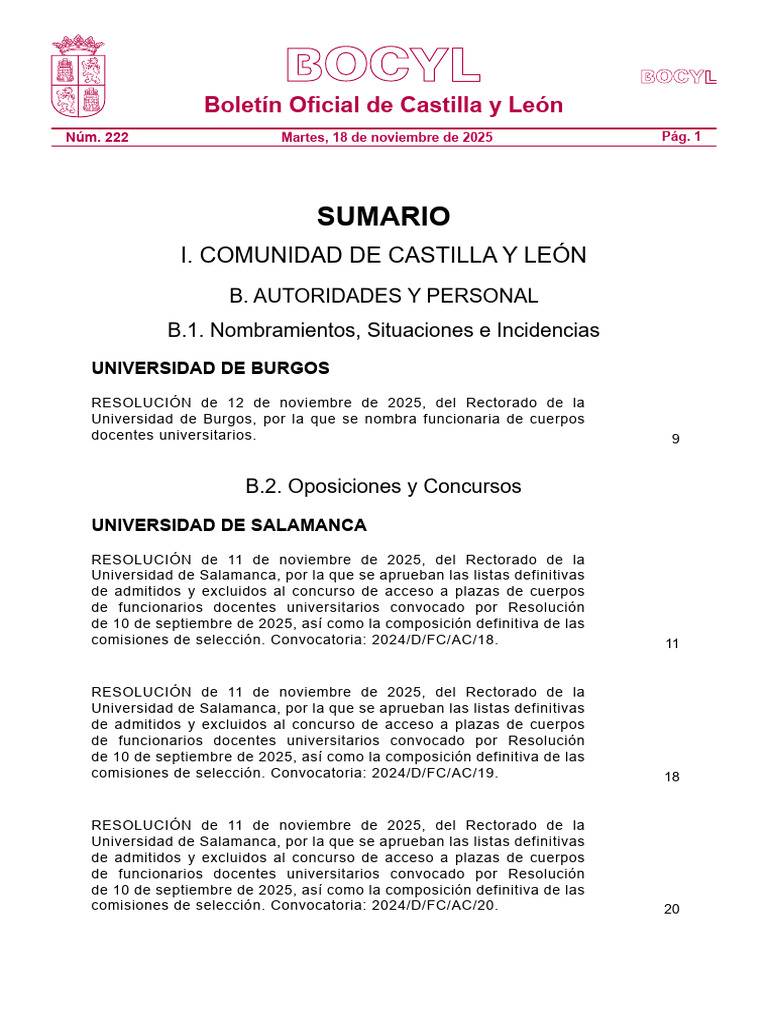 Bocyl S 18112025 | PDF