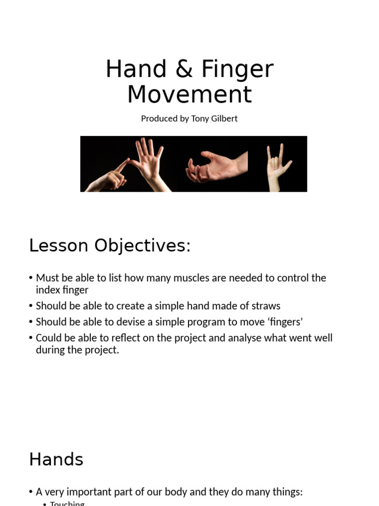 Understanding Hand & Finger Anatomy | PDF