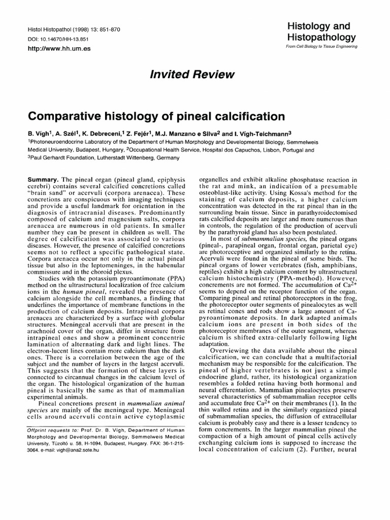 Comparative Histology of Pineal Calcification | PDF | Retina | Anatomy