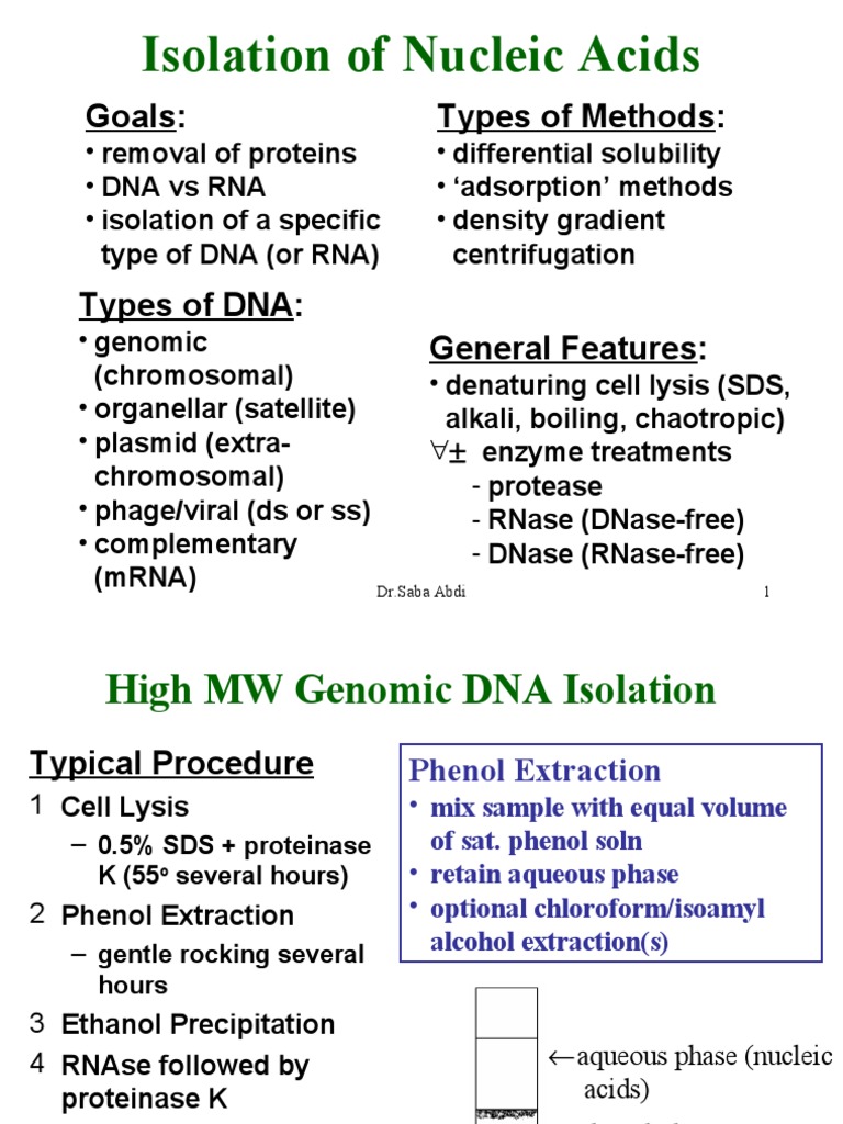 Isolation of Nucleic Acids: Goals: Types of Methods | PDF | Gel ...