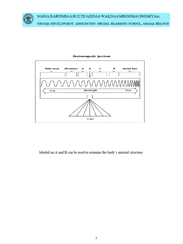 2018 Chem Practice Question Final | PDF | Electromagnetic Spectrum | Light