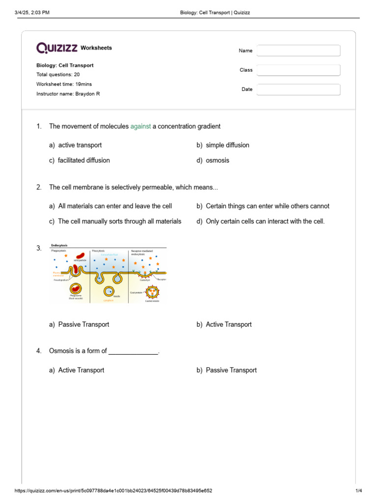 Biology Cell Transport Worksheet | PDF | Osmosis | Biology