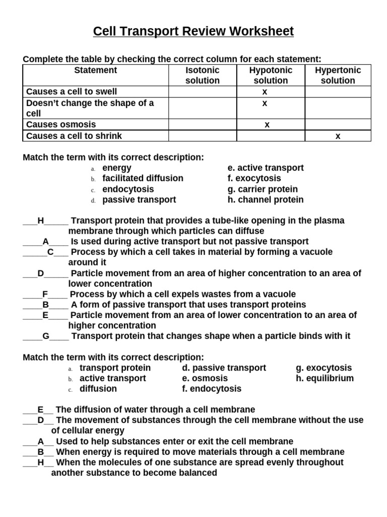 Biology Cell Transport Review Worksheets 3 .Rtf.docx | PDF | Cell ...